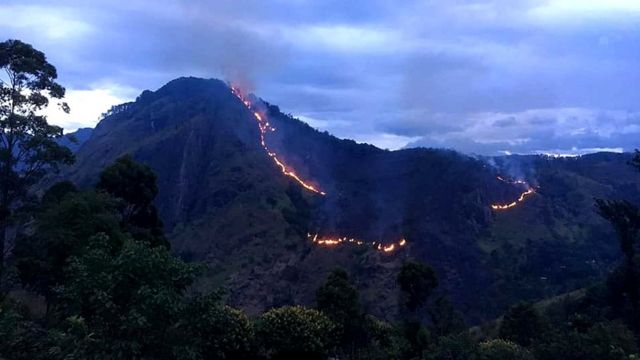 ඇල්ල ගින්න : "මෙහෙම ගියොත් අපි හිඟමනට වැටෙනවා" - BBC News සිංහල