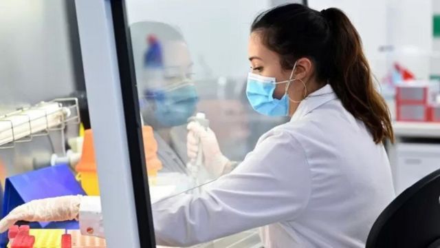 Toban talo oo ku socota dadka da'doodu u dhexeyso 30 ilaa 40 jir - BBC ...