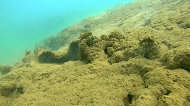 Nikel Indonesia: Limbah tambang mengancam lingkungan di Sulawesi Tenggara - ‘Yang kamu rusak ...