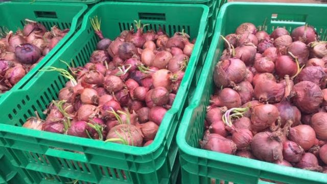 Rwanda: Imvo n'Imvano ku kugeza umusaruro w'ubuhinzi ku isoko ...