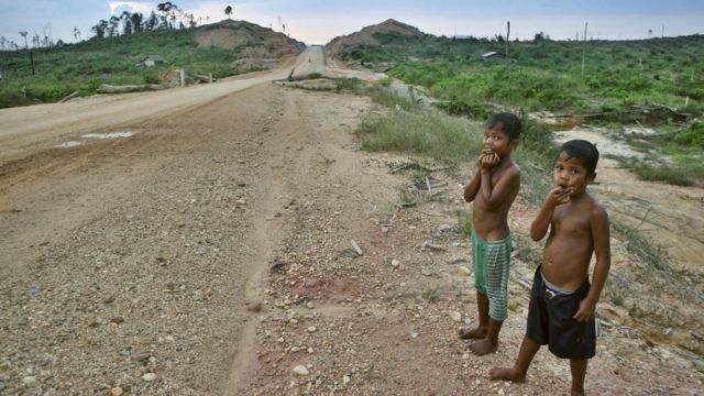 Bagaimana dokter mengobati Dita, gajah kecil, di hutan Riau - BBC News ...