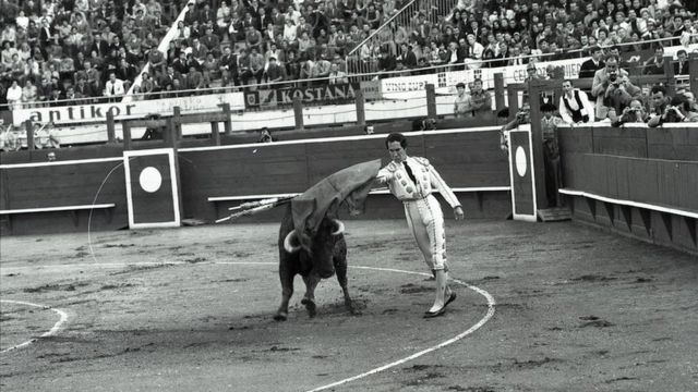 Jugoslavija i borbe s bikovima: Pola veka od beogradske koride, kada je ...