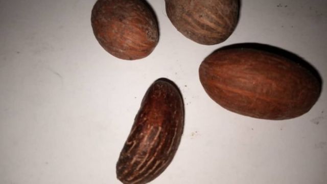 Mmanụ nri na ihe ndị ọzọ a a na-emebi nsị n'ezie? - BBC News Ìgbò