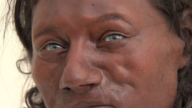 DNA de esqueleto indica existência de britânicos negros e de olhos ...