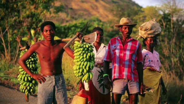 Ego cane! Ibi bitoke bigiye guhona - BBC News Gahuza