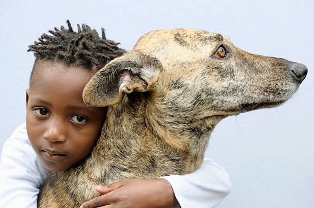 Utafiti: Unajua mbwa anaweza kupunguza msongo wa mawazo kwa wanaume ...