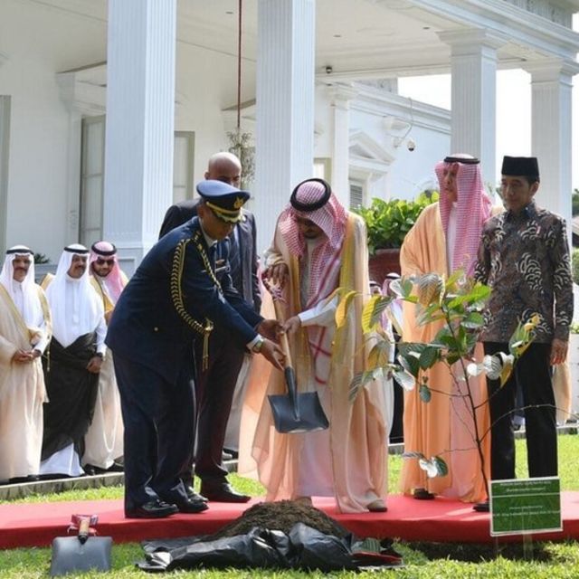 Antara kemewahan Raja Salman dan kebersahajaan Presiden Jokowi - BBC ...