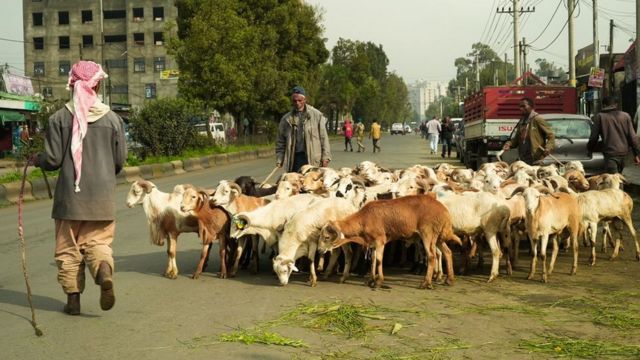 Bara haaraa Itoophiyaa 2015 suuraaleedha - BBC News Afaan Oromoo
