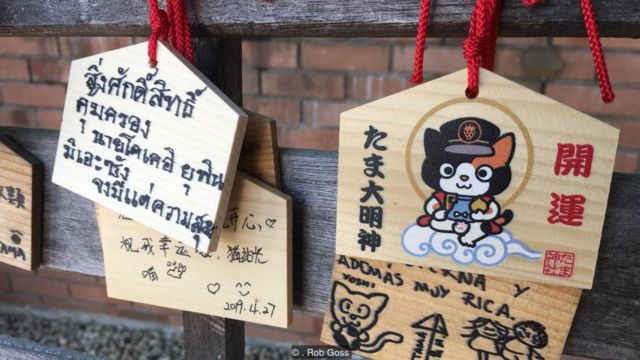 Cô mèo nổi tiếng làm trưởng ga tàu điện ở Nhật - BBC News Tiếng Việt