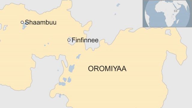 Yunivarsiitii Wallaggaa Kaampaasii Shaambuutti barattoonni lama lubbuu ...