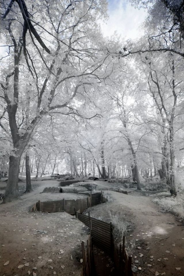 'நிலம், ஒளி, ரத்தம்' - முதலாம் உலகப் போரின் எச்சங்கள் - BBC News தமிழ்