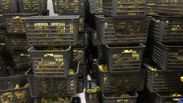 Haweeney Soomaali ah oo dhexda u xiratay tayeynta Mooska - BBC News Somali