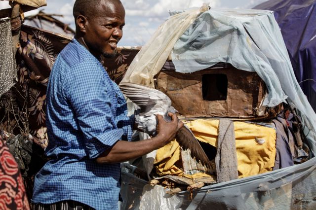 Sida malaayiin doollar oo deeq ah loogu xaday magaca Soomaaliya - BBC ...