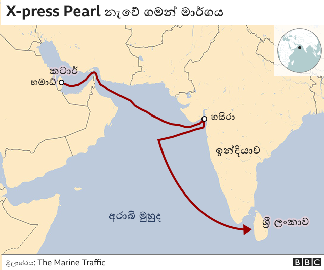 X-Press Pearl නැවේ නඩුවේ අලුත්ම තොරතුරු: වාරකන් නිසා කැස්බෑවුන් මිය ගිය ...