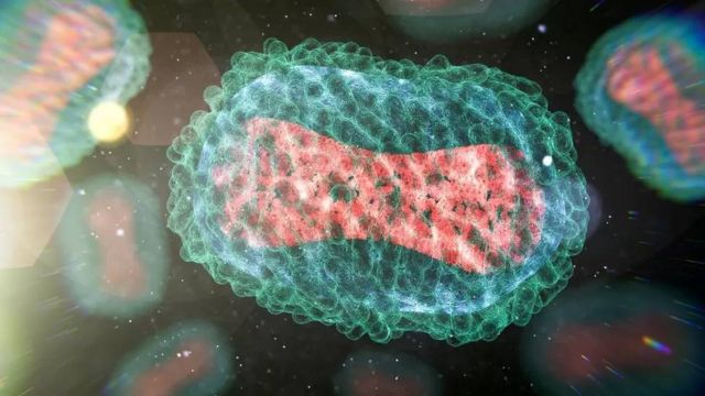 Por qué la OMS le cambió el nombre a la viruela del mono - BBC News Mundo