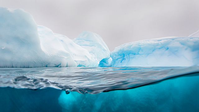 Por qué hay icebergs verdes (y qué ventajas tienen) - BBC News Mundo