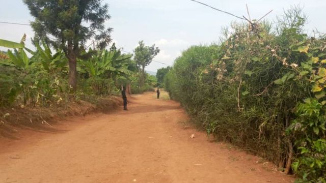 Coronavirus: Umukuru wa OMS avuga u Rwanda mu bihugu bikora neza mu ...