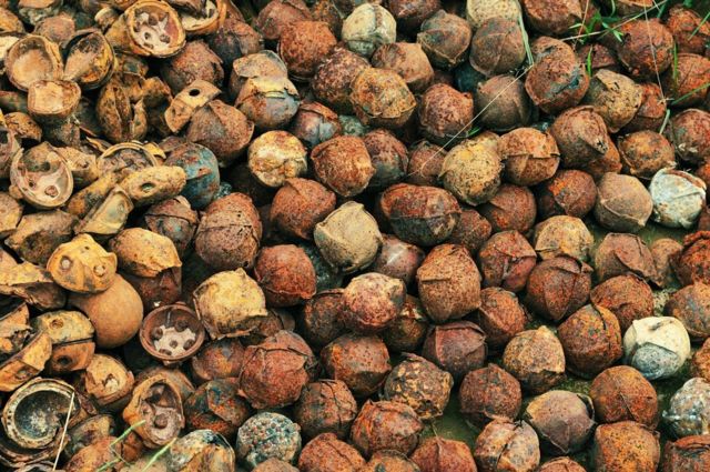 As bombas esquecidas que matam mais crianças do que adultos - BBC News ...