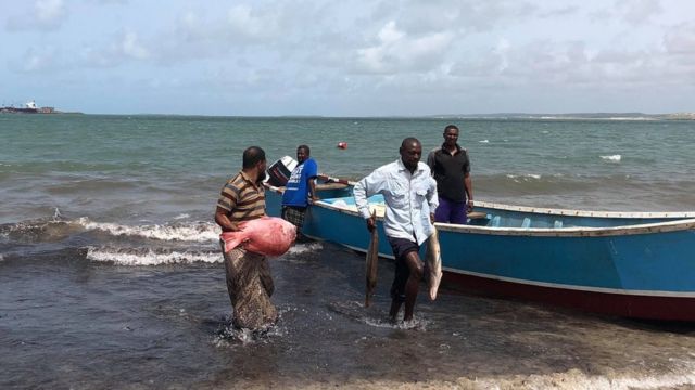 Kismaayo oo kalluun u dhoofisa Kenya - BBC News Somali