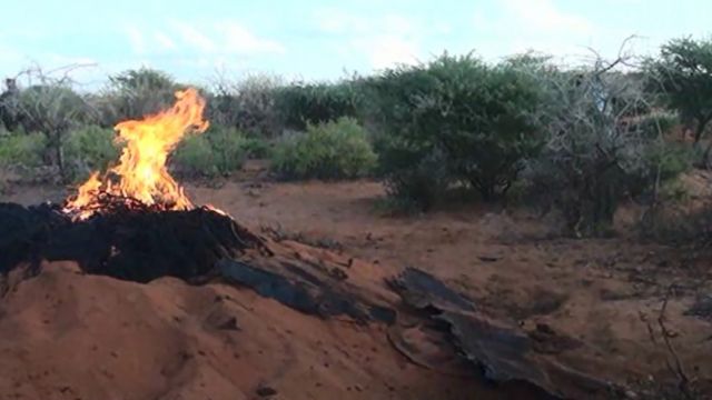 QM: Iiraan waa marinka cusub ee dhuxusha Soomaaliya ee ay canshuuraan ...