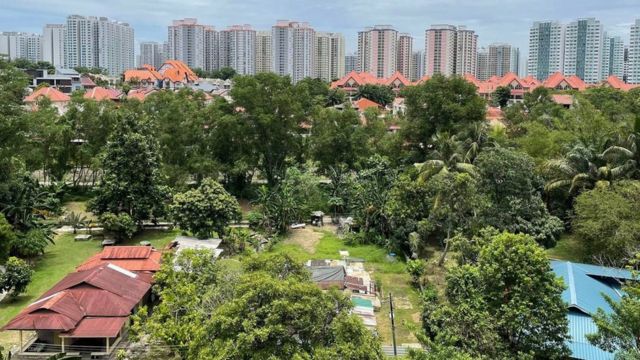 Kampung terakhir di Singapura: Mencoba bertahan di tengah pembangunan ...