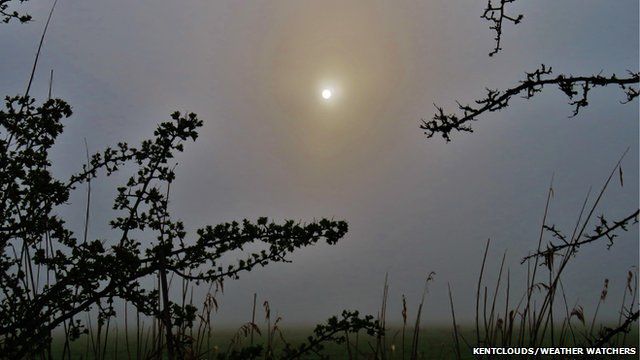 Gallery: One foggy Tuesday morning - BBC Weather