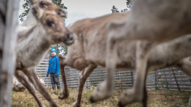 Skandinavija, porodica i običaji: Tajna roditeljstva za preživljavanje ...