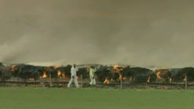 BBC Rewind: The 2001 foot-and-mouth outbreak - BBC News