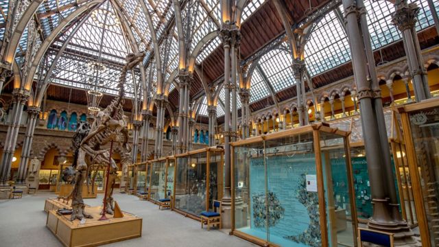 Dinosaurusi i dodo ptice u novom ruhu - BBC News na srpskom