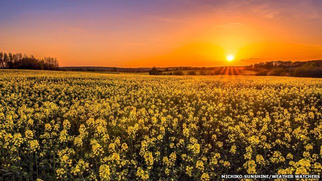 A Year of Weather Watching: Michiko Sunshine - BBC Weather