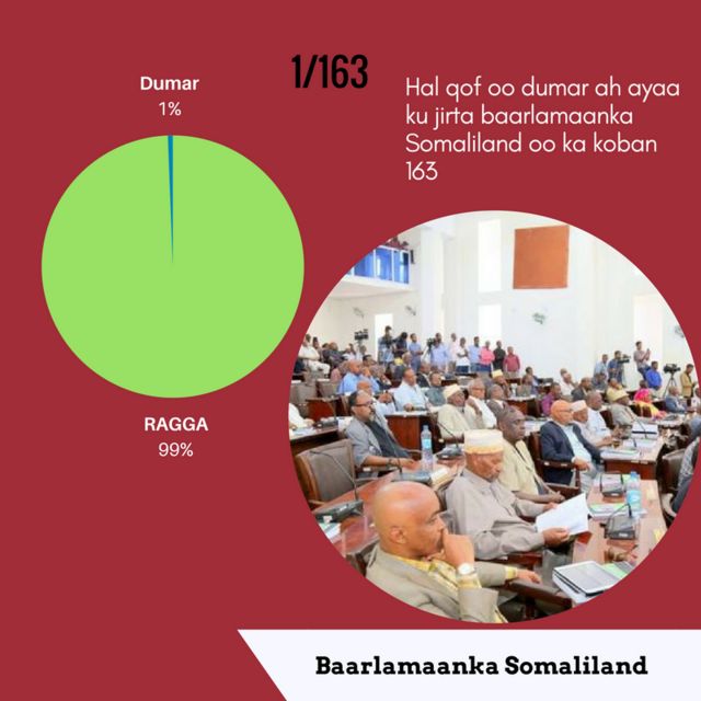 Deegaanada Soomalida kee baa ugu liita matalaadda siyaasadda ee dumarka ...