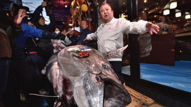 Nin hal kalluun ah ku iibsaday ku dhawaad 2 milyan oo doolar - BBC News ...