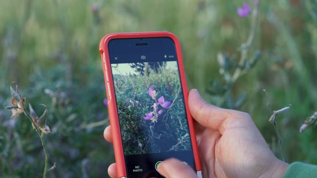 iNaturalist: la app para los amantes de la naturaleza que te permite ...