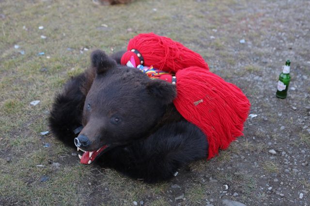 Rumunija i običaji: Ples medveda - krzneni ritual za zaštitu od zlih ...