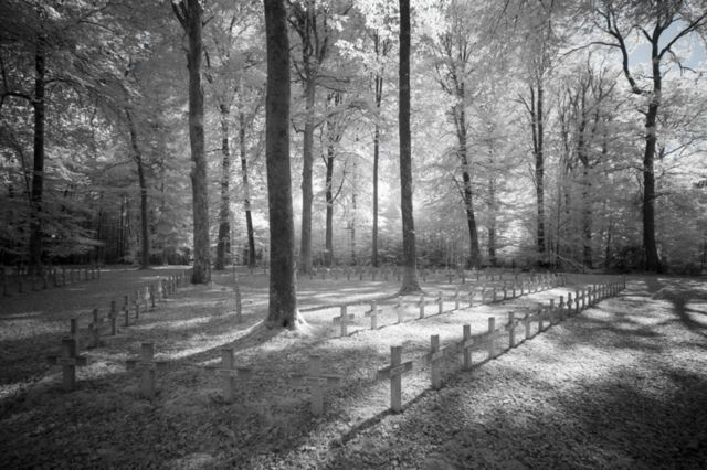 'நிலம், ஒளி, ரத்தம்' - முதலாம் உலகப் போரின் எச்சங்கள் - BBC News தமிழ்