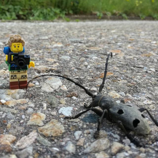 Lego turizam: Figurice „osvojile" Mesec i pravile krofne - BBC News na ...