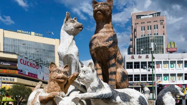 Kota yang terobsesi dengan kucing - BBC News Indonesia