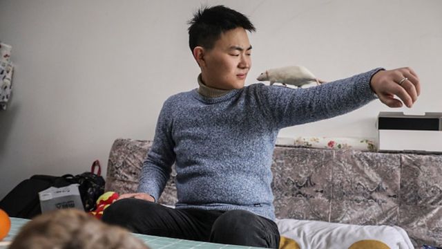 Shekarar Beraye a China: Muhimmancin bera ga 'yan China - BBC News Hausa