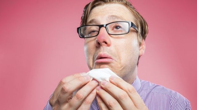 ¿Realmente debes evitar los lácteos y helados si estás resfriado? - BBC ...