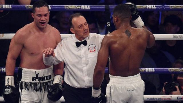 Joshua Vs Parker: Gịnị mere referii ji ewu? - BBC News Ìgbò