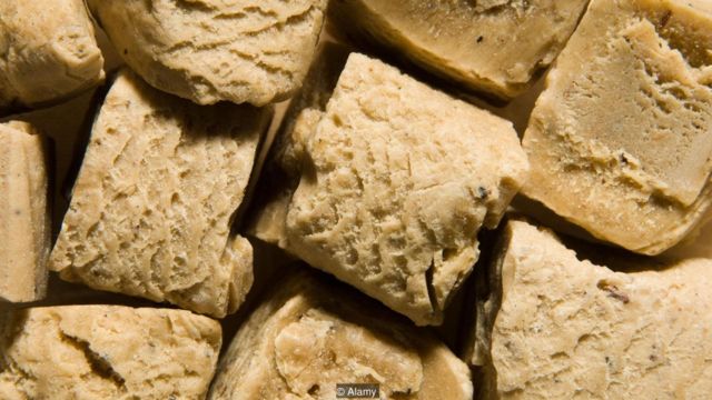 Silfio: el enigma de la planta "milagrosa" que sedujo a griegos y ...