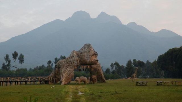 Rwanda: Ubukerarugendo bwemerewe gusubukura, byakiriwe gute? - BBC News ...