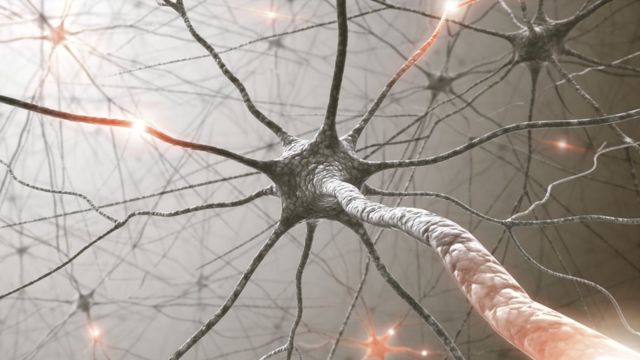 Neuralink, el ambicioso proyecto para conectar nuestros cerebros a las ...