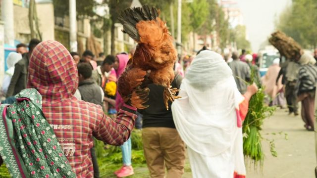 Bara haaraa Itoophiyaa 2015 suuraaleedha - BBC News Afaan Oromoo