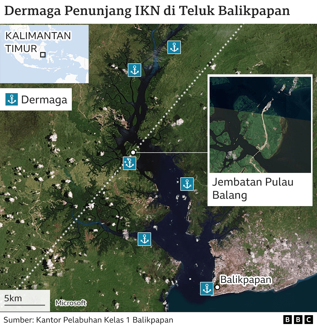 IKN dan Teluk Balikpapan: Pesut pesisir ‘tinggal kenangan’ jika tidak diperhatikan nasibnya ...