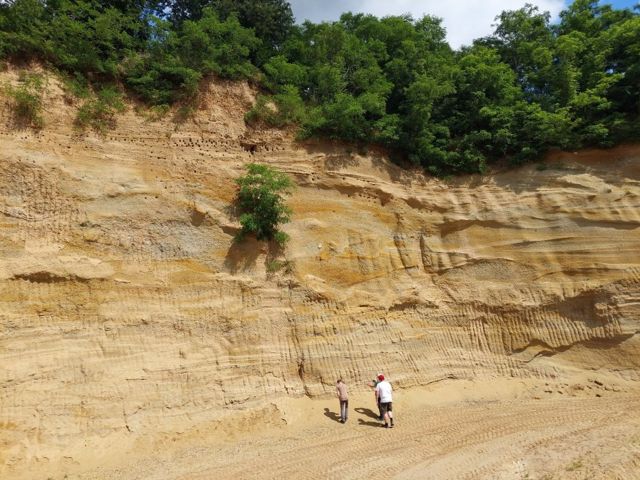 Panonsko more: Kada su severom Srbije plivali megalodoni i kitovi, a ...