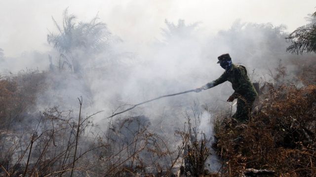 Walau hujan kurangi titik api, kabut asap masih kepung Aceh Barat - BBC ...