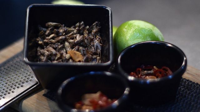 Tanzania: Cockroach business don 'open my life' - BBC News Pidgin