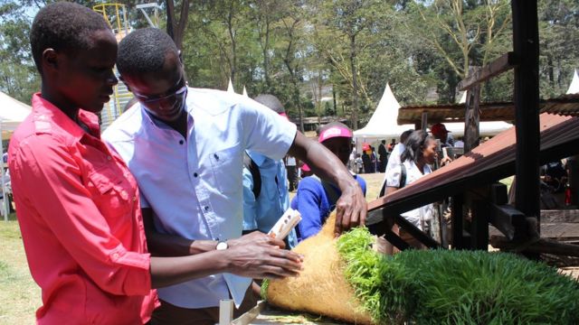 Kwa picha: Maonyesho ya kilimo Nairobi Kenya - BBC News Swahili