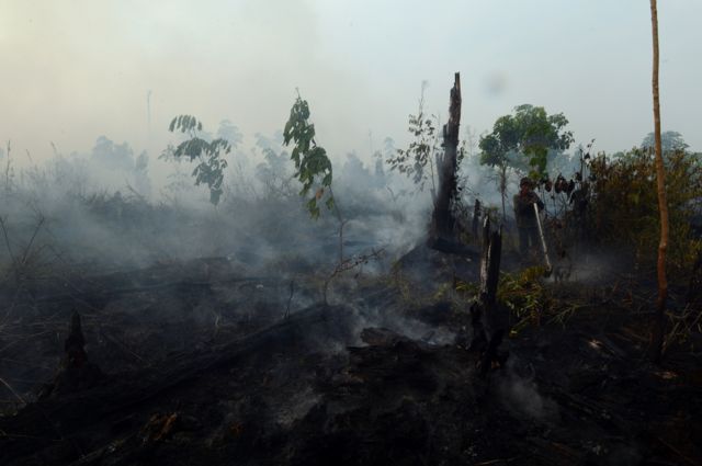 Malaysia 'bebas kabut asap dari kebakaran hutan' di Indonesia: Faktor ...